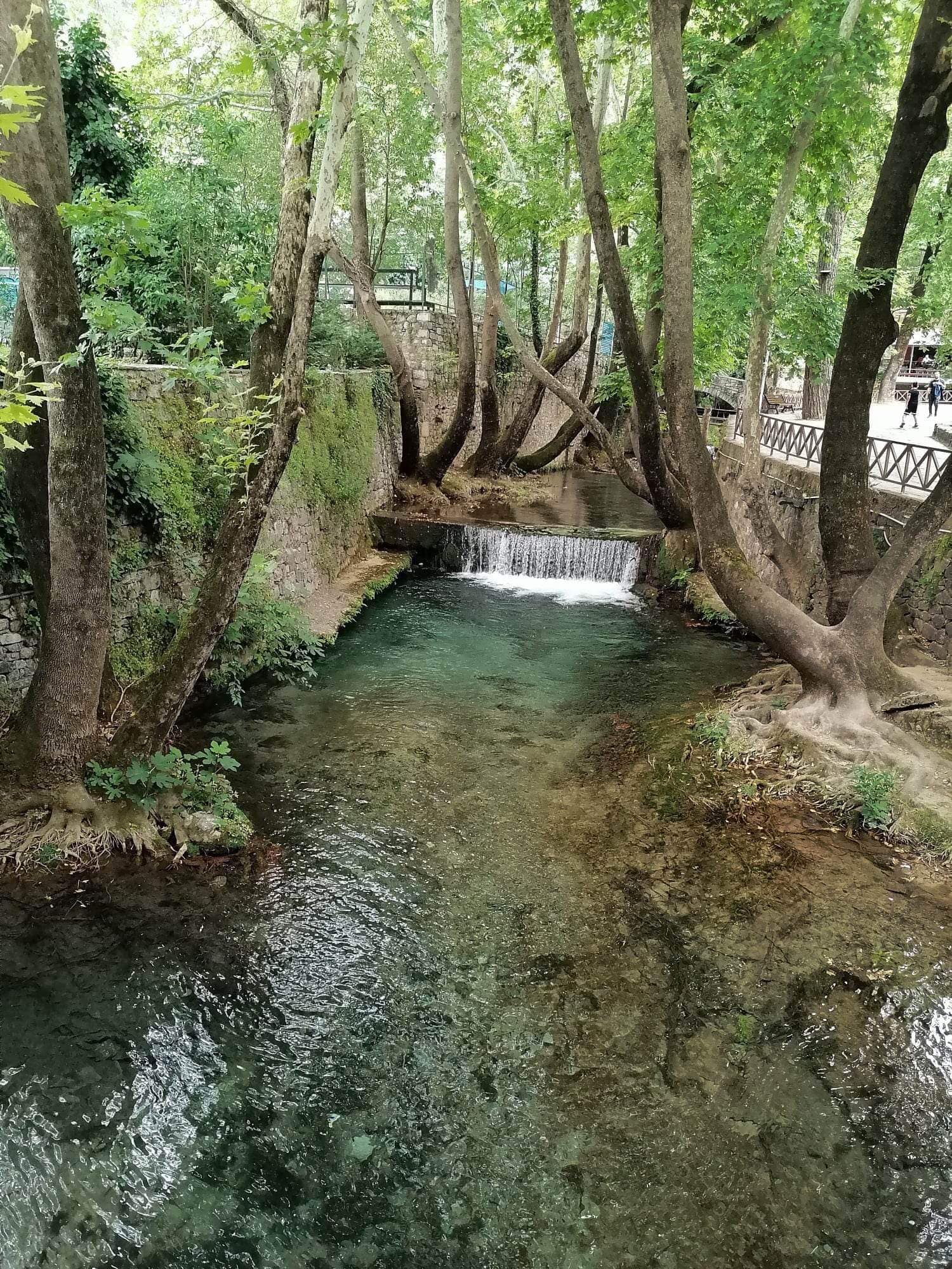ΜΕ ΠΟΛΥ ΚΕΦΙ ΚΑΙ ΖΩΝΤΑΝΙΑ ΠΡΑΓΜΑΤΟΠΟΙΗΘΗΚΕ Η ΕΚΔΡΟΜΗ ΤΟΥ ΣΥΛΛΟΓΟΥ “Η ...