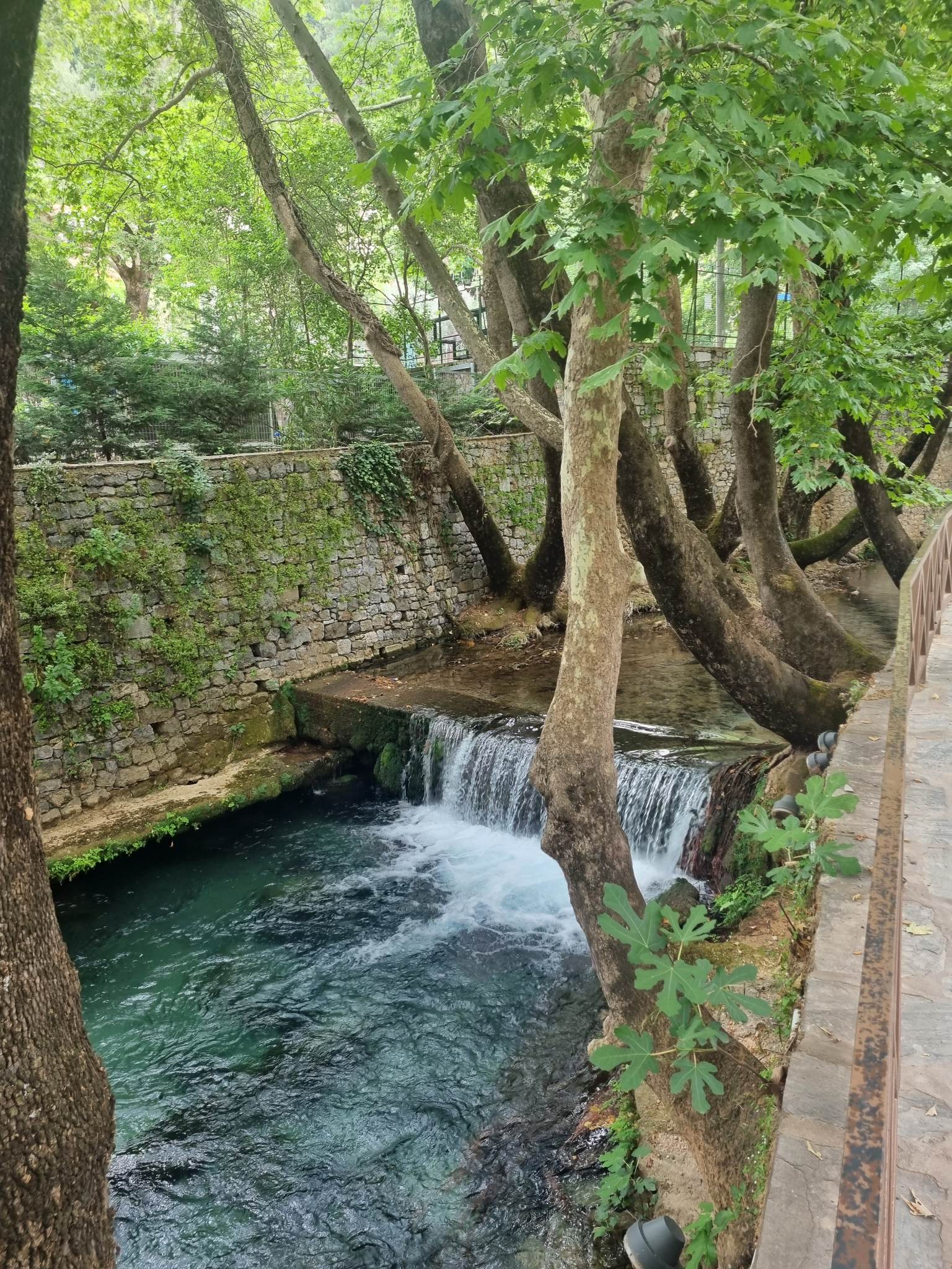 ΜΕ ΠΟΛΥ ΚΕΦΙ ΚΑΙ ΖΩΝΤΑΝΙΑ ΠΡΑΓΜΑΤΟΠΟΙΗΘΗΚΕ Η ΕΚΔΡΟΜΗ ΤΟΥ ΣΥΛΛΟΓΟΥ “Η ...